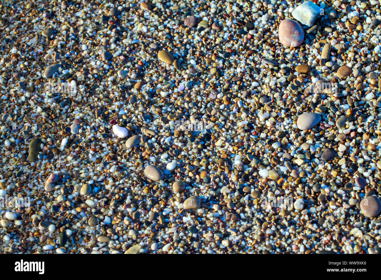 sea pebbles colored granite on the beach background stones. The shore ...