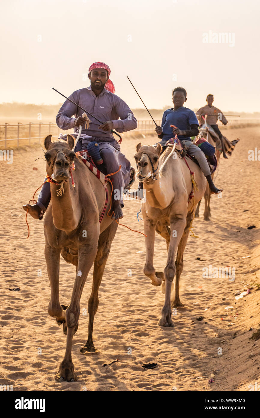 Camel Racing in Taif, Saudi Arabia Stock Photo - Alamy