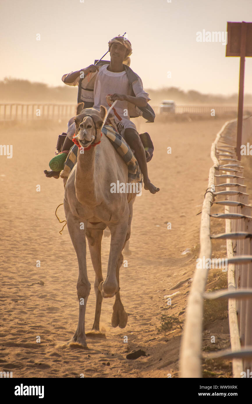 Camel Racing in Taif, Saudi Arabia Stock Photo - Alamy