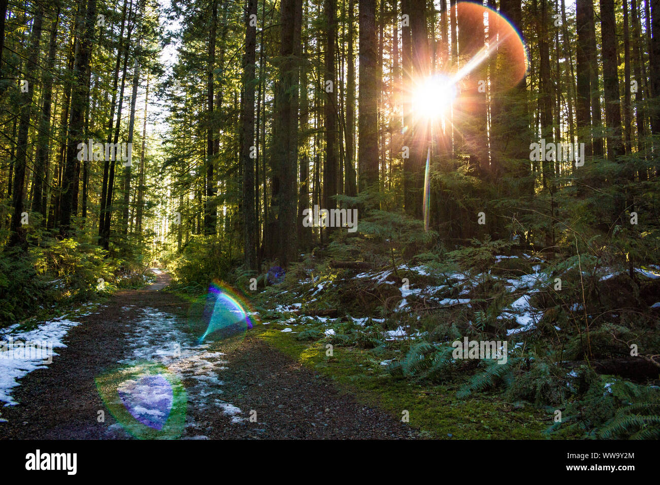 Daylight adventure hi-res stock photography and images - Alamy