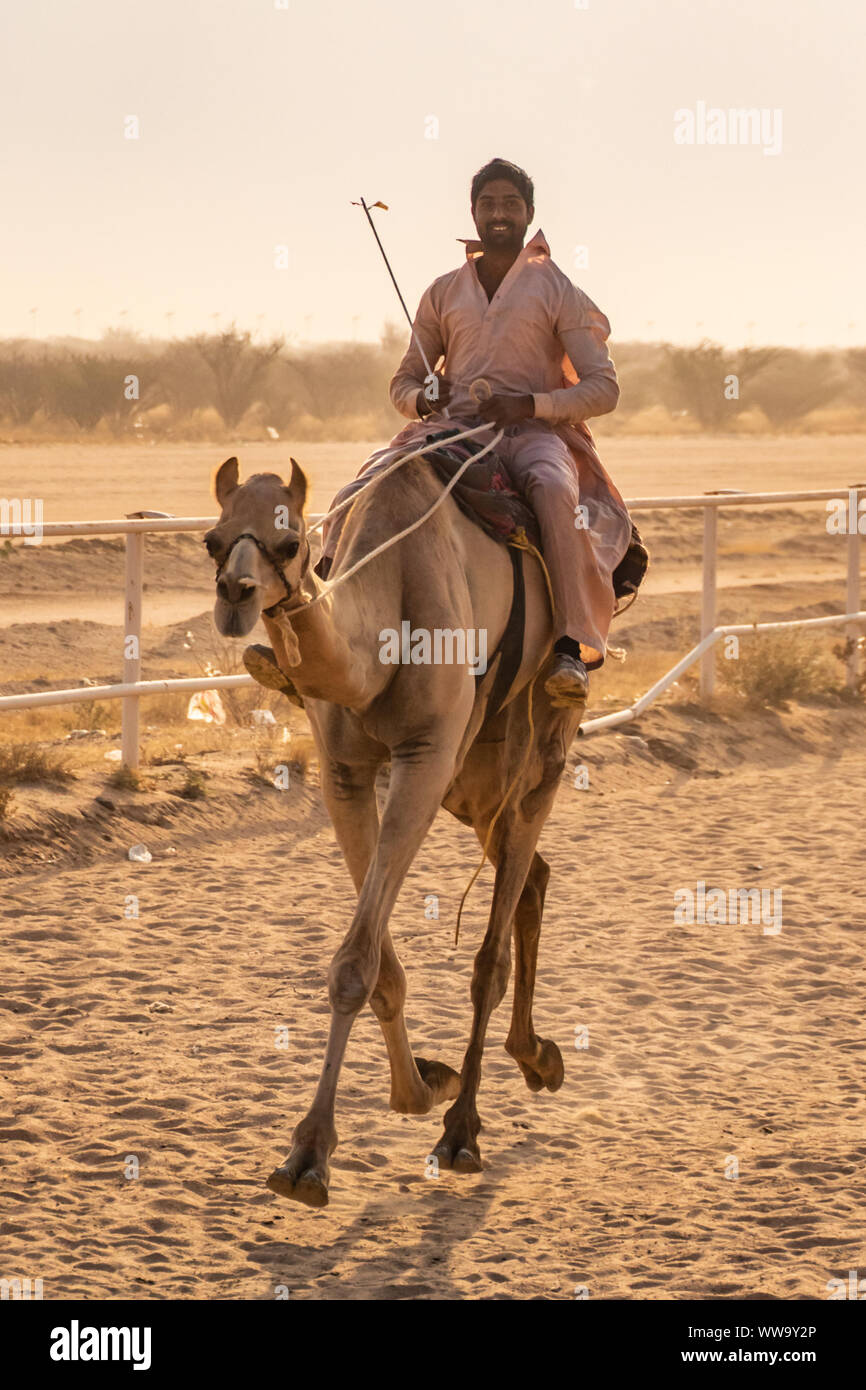 Camel Racing in Taif, Saudi Arabia Stock Photo - Alamy