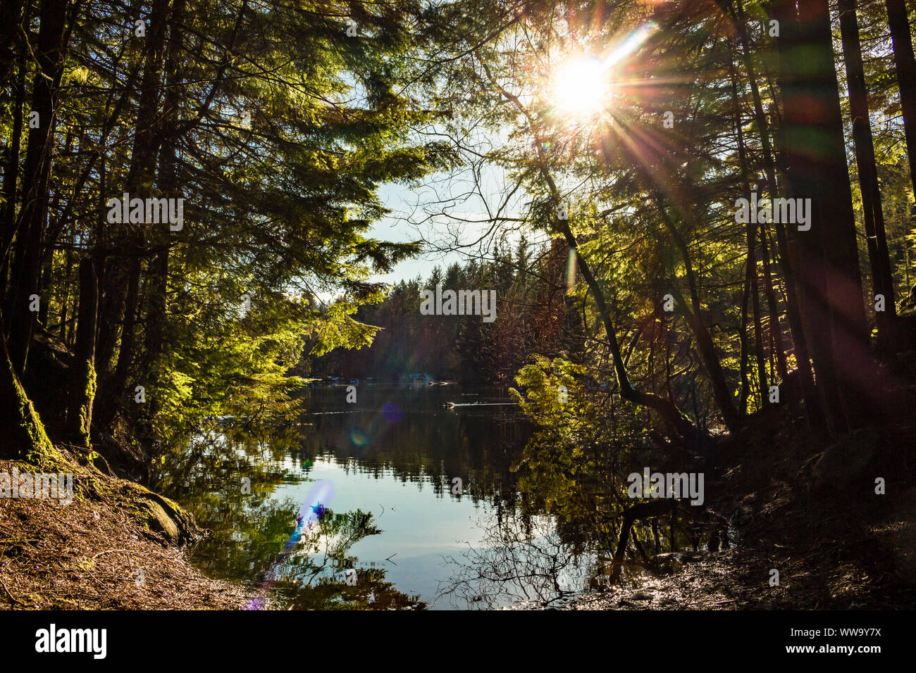 On the nature of daylight (North Vancouver, BC Stock Photo - Alamy