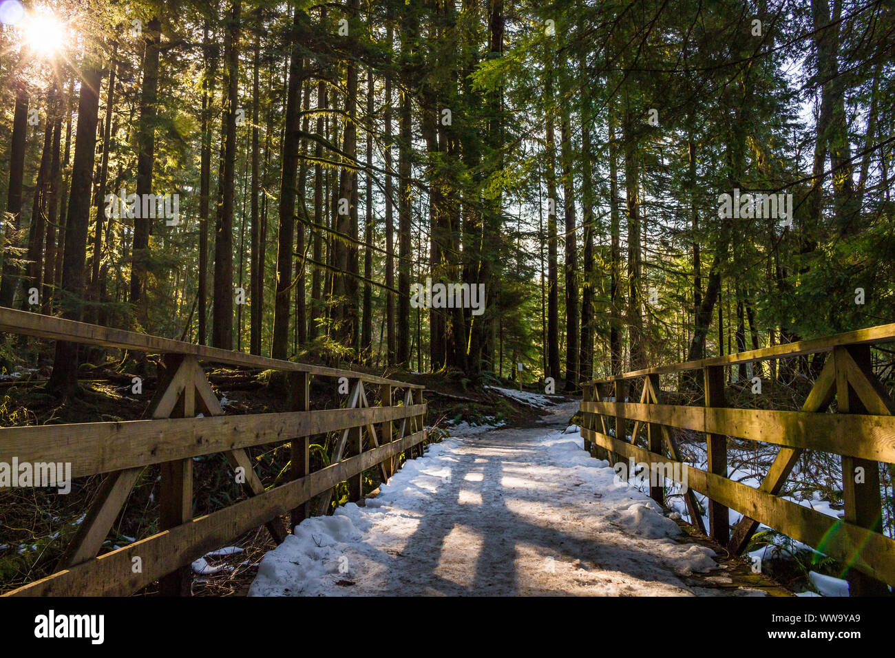 Daylight landscape with nature hi-res stock photography and images - Alamy