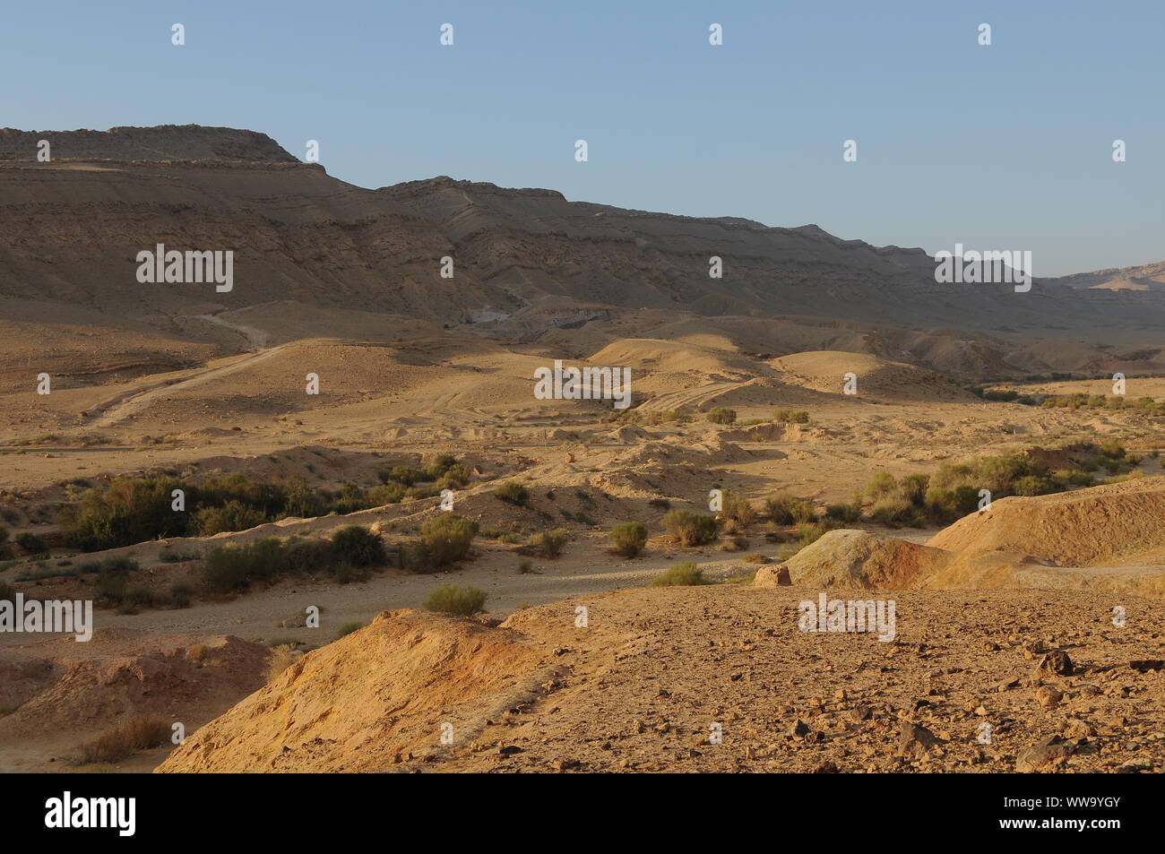 Desert landscape at sunrise. Hiking desert part of Israel National ...