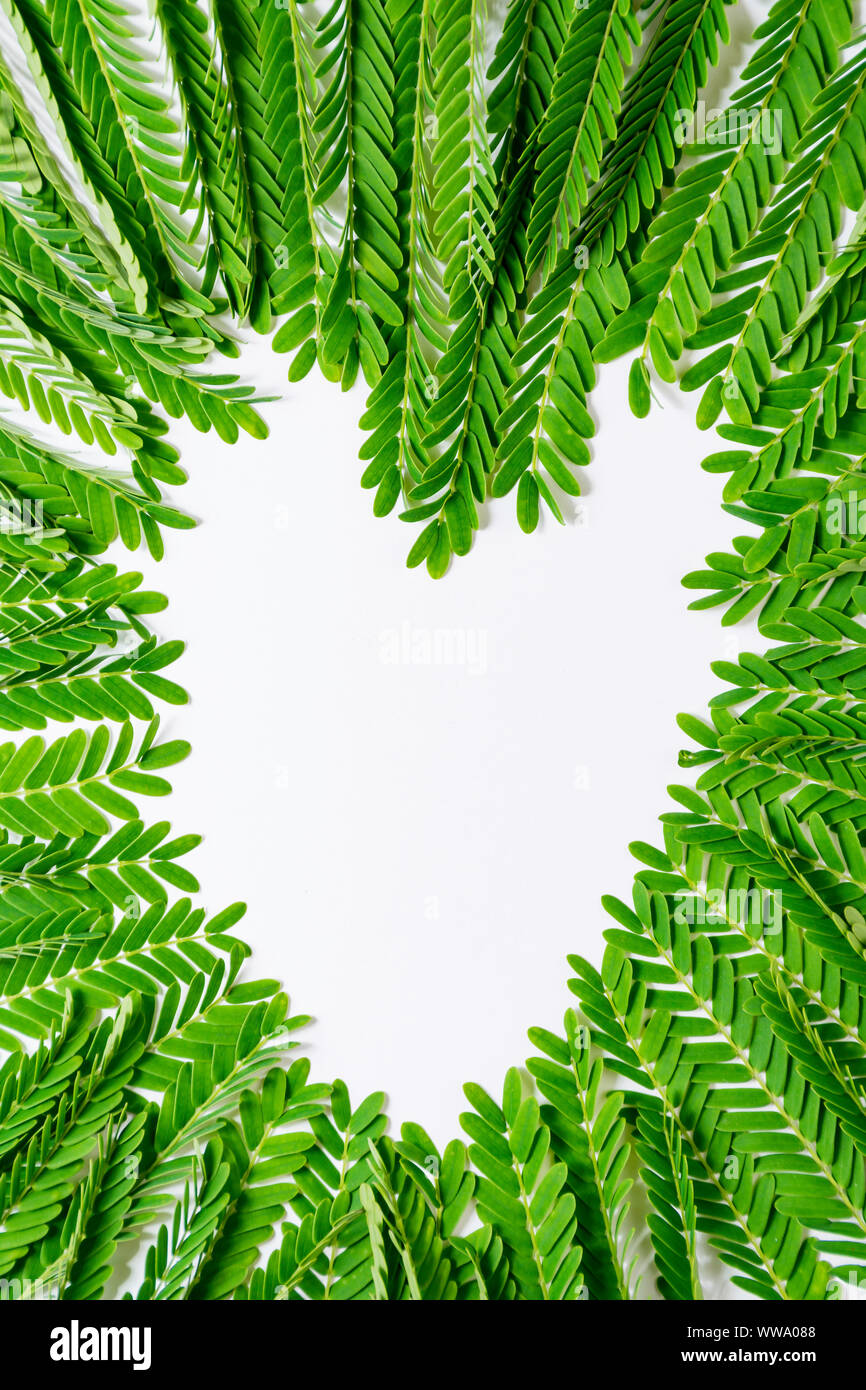 Tree leaves with blank space and forming figures Stock Photo - Alamy