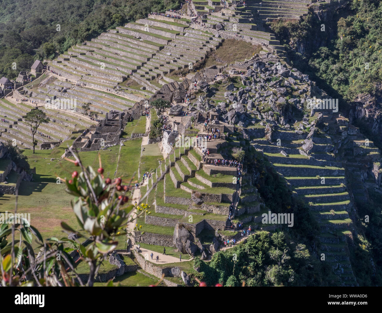 Machu Picchu, Peru - May 22, 2016: View of Machu Picchu from Huayna ...