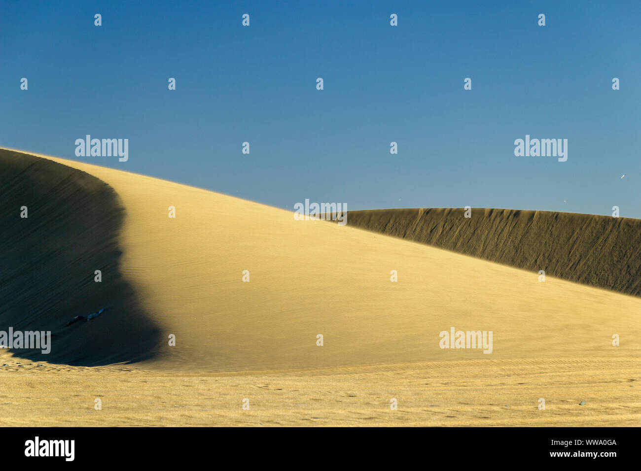 Big sand dunes near Maspalomas with a blue sky Stock Photo - Alamy
