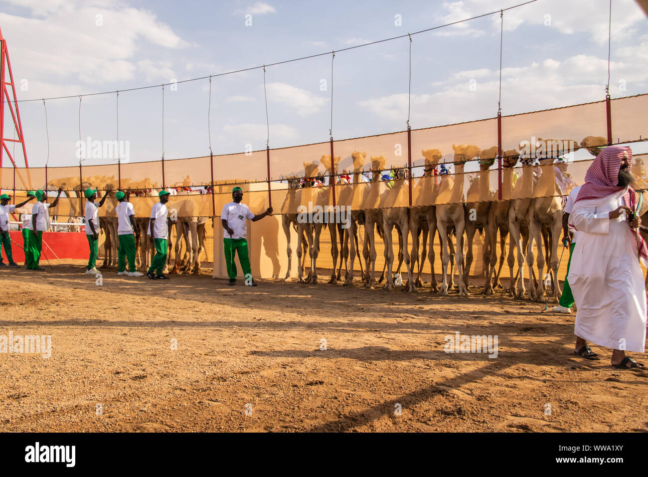 Saudi camel racing hi-res stock photography and images - Alamy