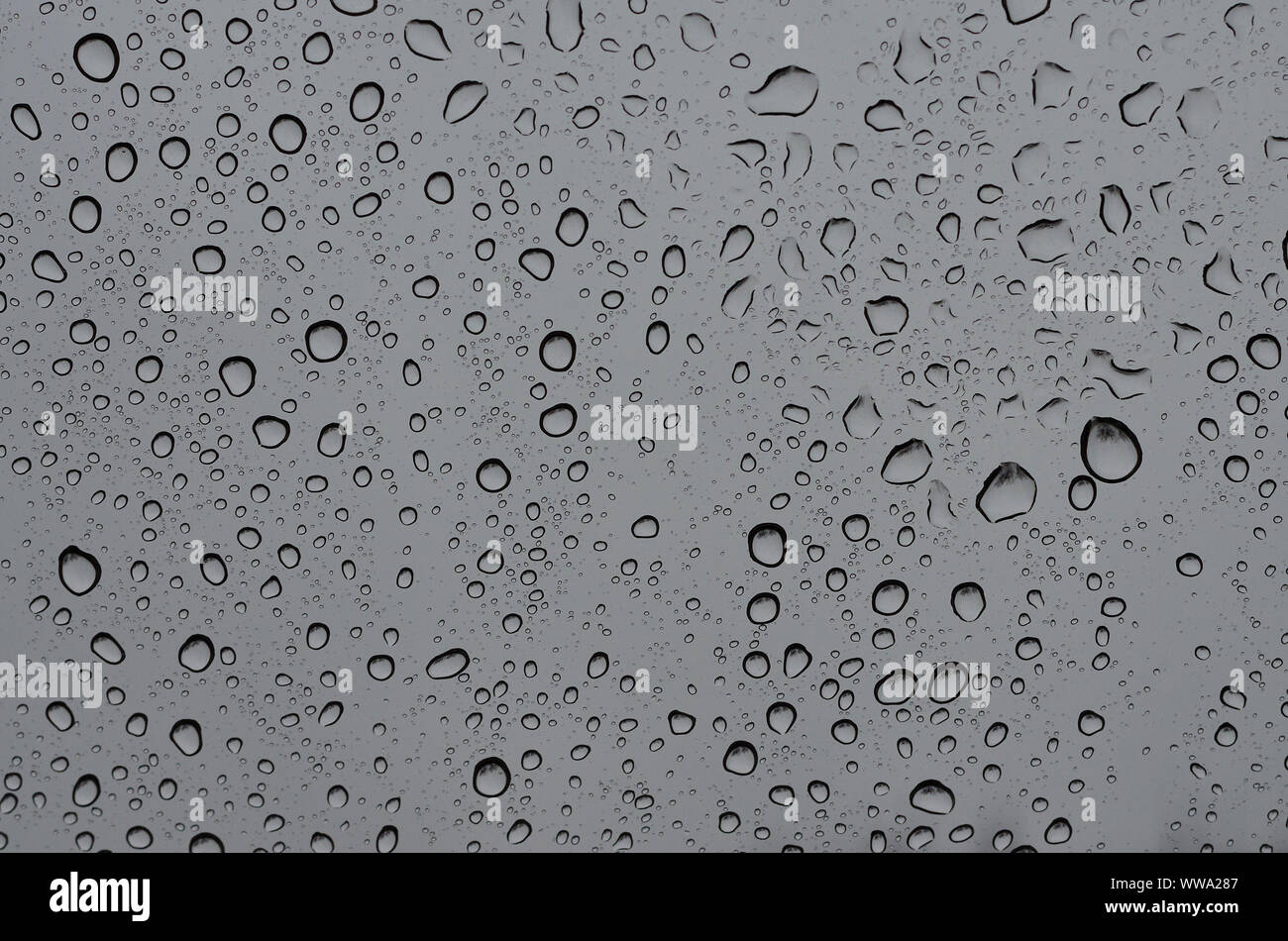 Raindrops on the window glass Stock Photo - Alamy