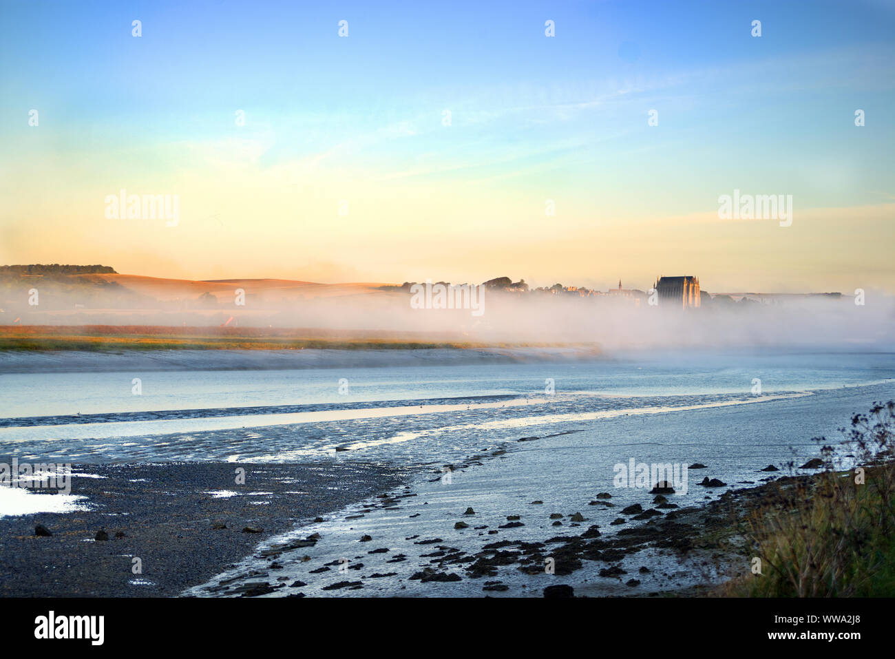Misty morning on river bank Stock Photo - Alamy