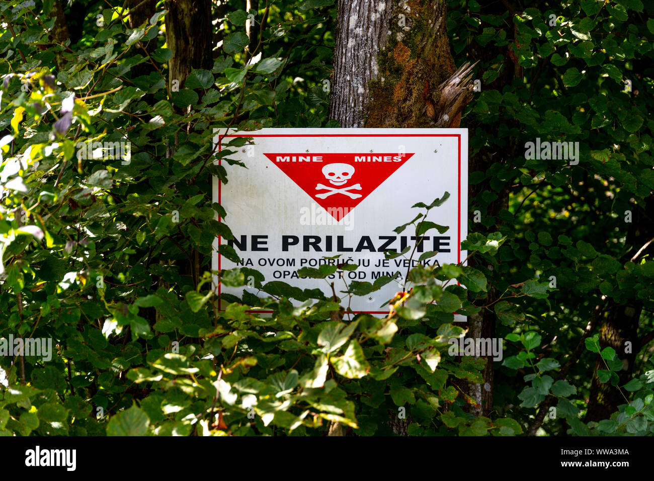 Visit of Zeljava airport in Croatia Stock Photo - Alamy