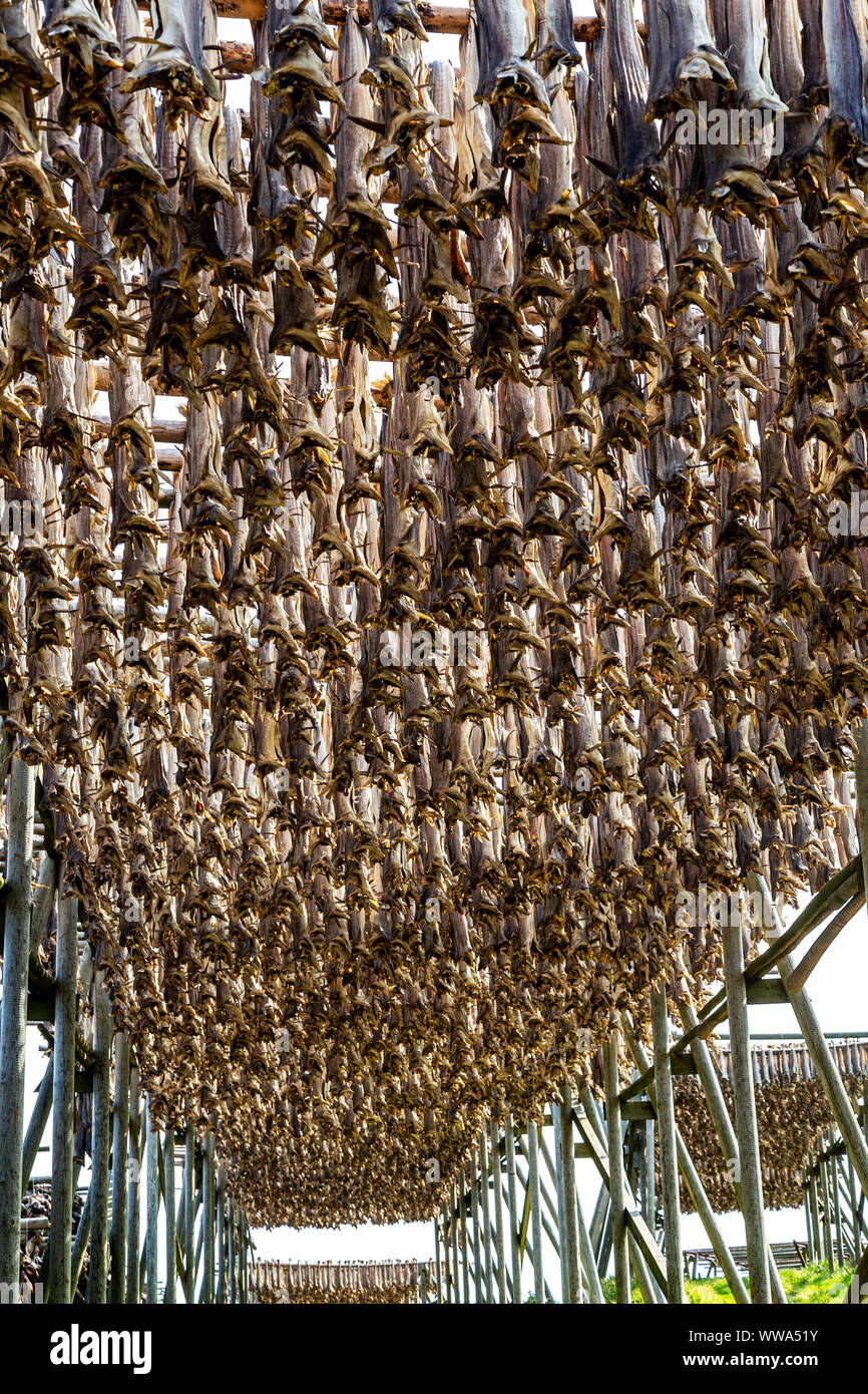 Dried salt cod norway hi-res stock photography and images - Alamy