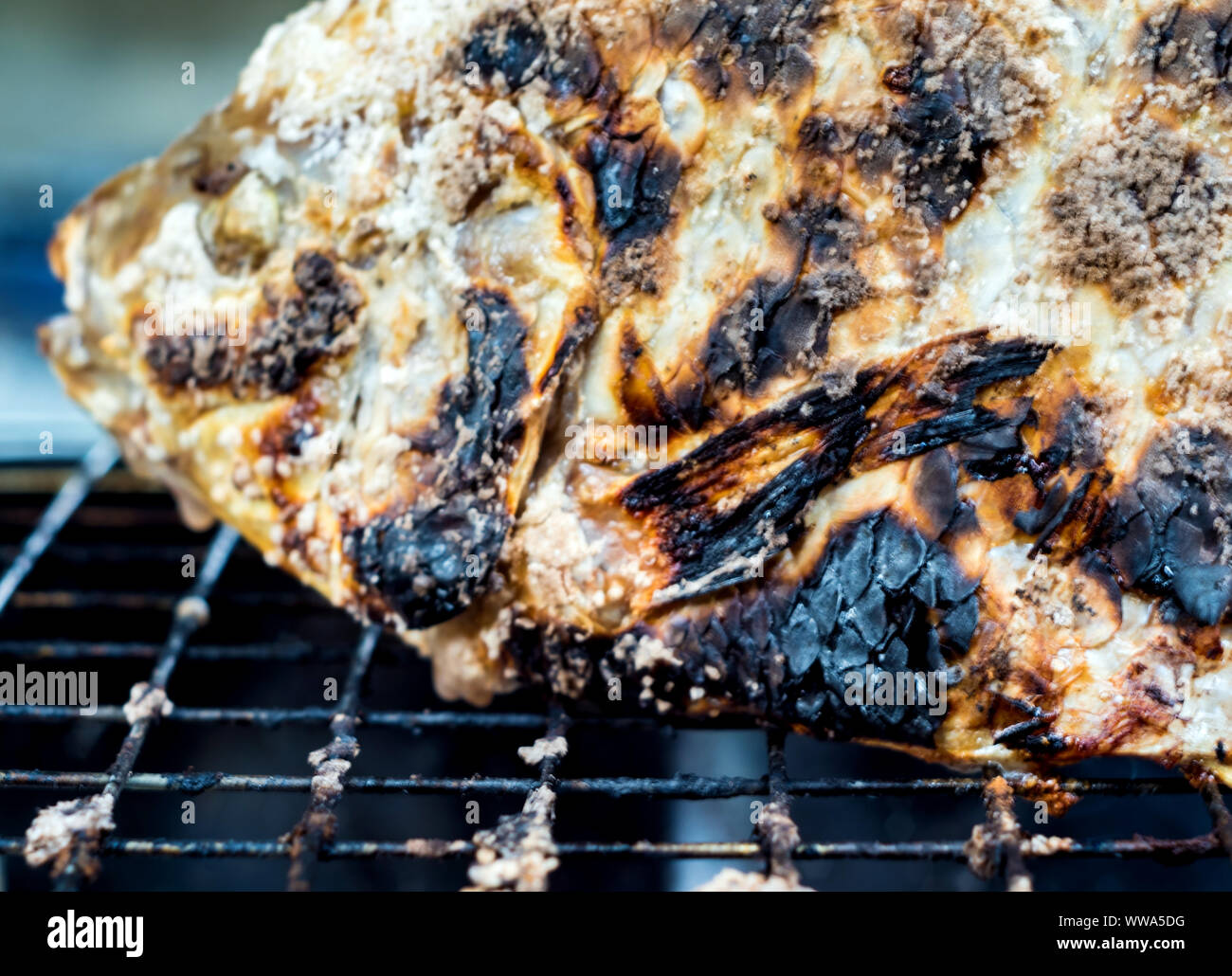Skin of fish grilled on hot charcoal until black and scorched Stock ...