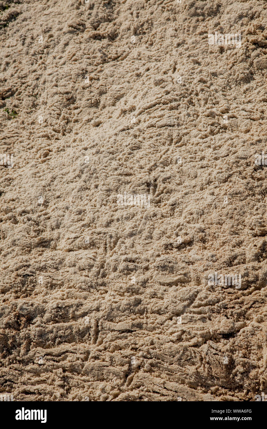sand texture in the sea shore beach - retro, vintage style look Stock ...