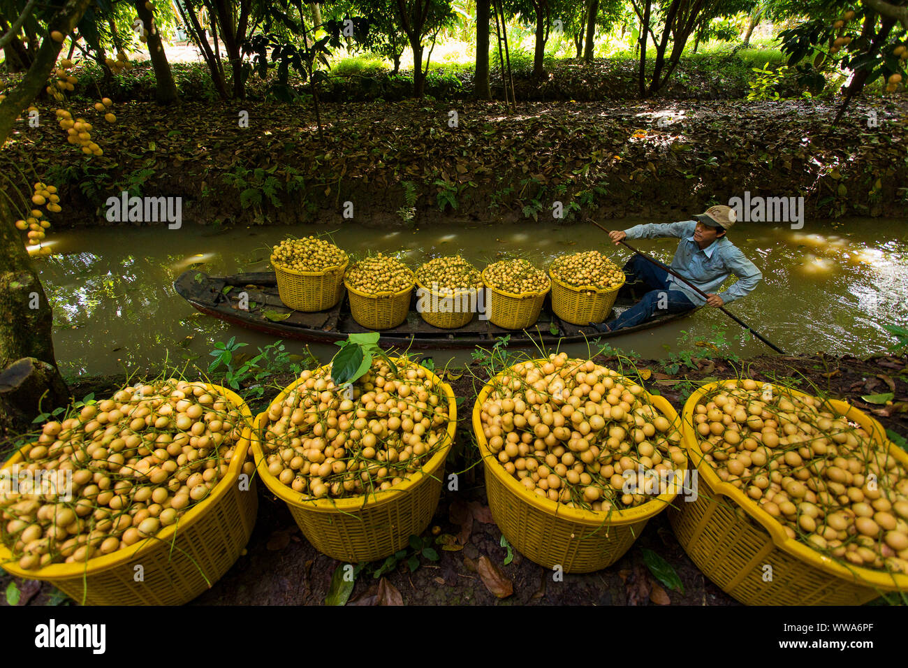 Song cuu long hi-res stock photography and images - Alamy