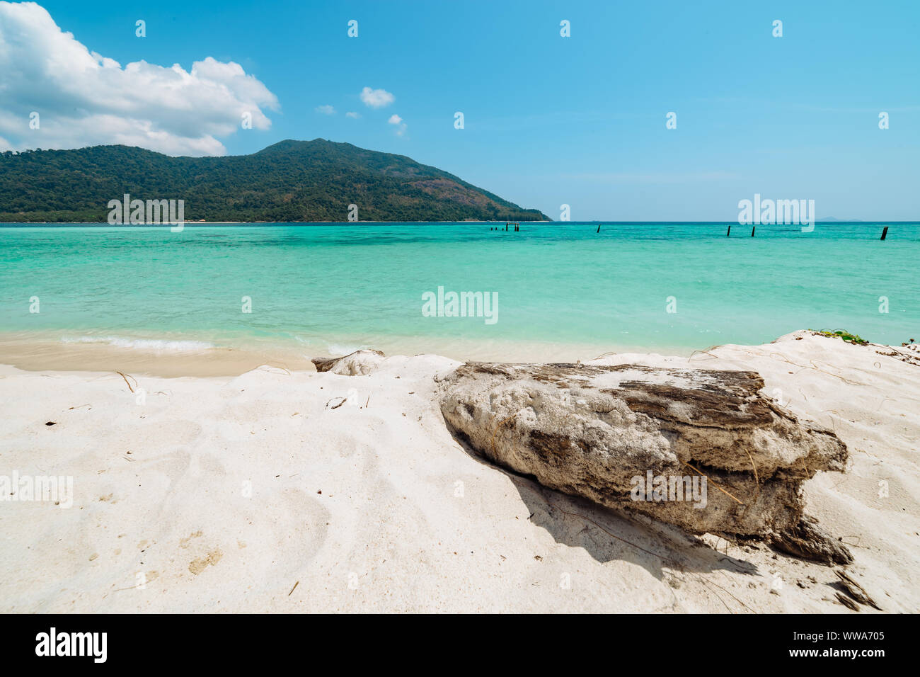 Clean white sand and a tree trunk looking over pristine blue ocean ...
