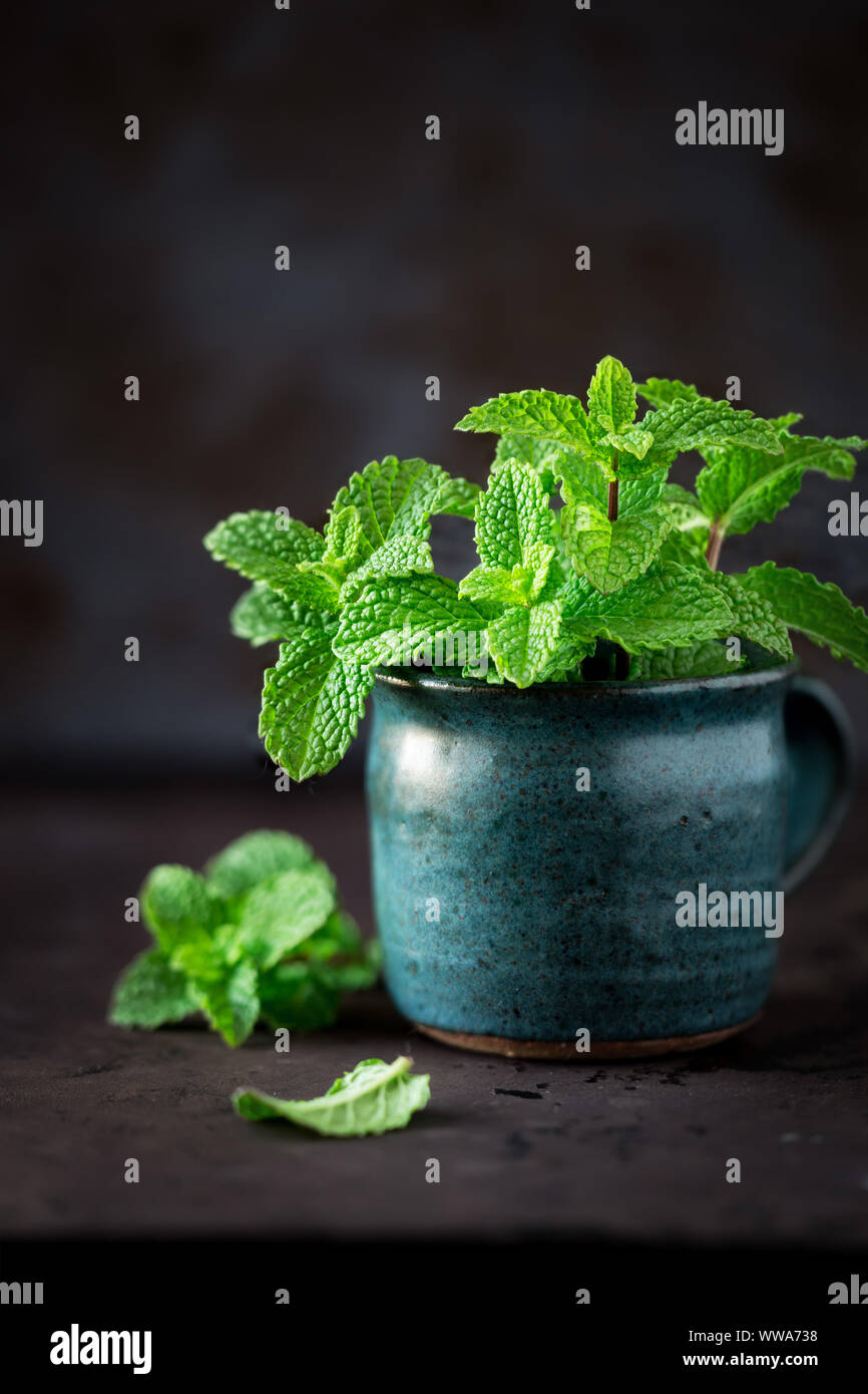 Sprigs of peppermint hi-res stock photography and images - Alamy