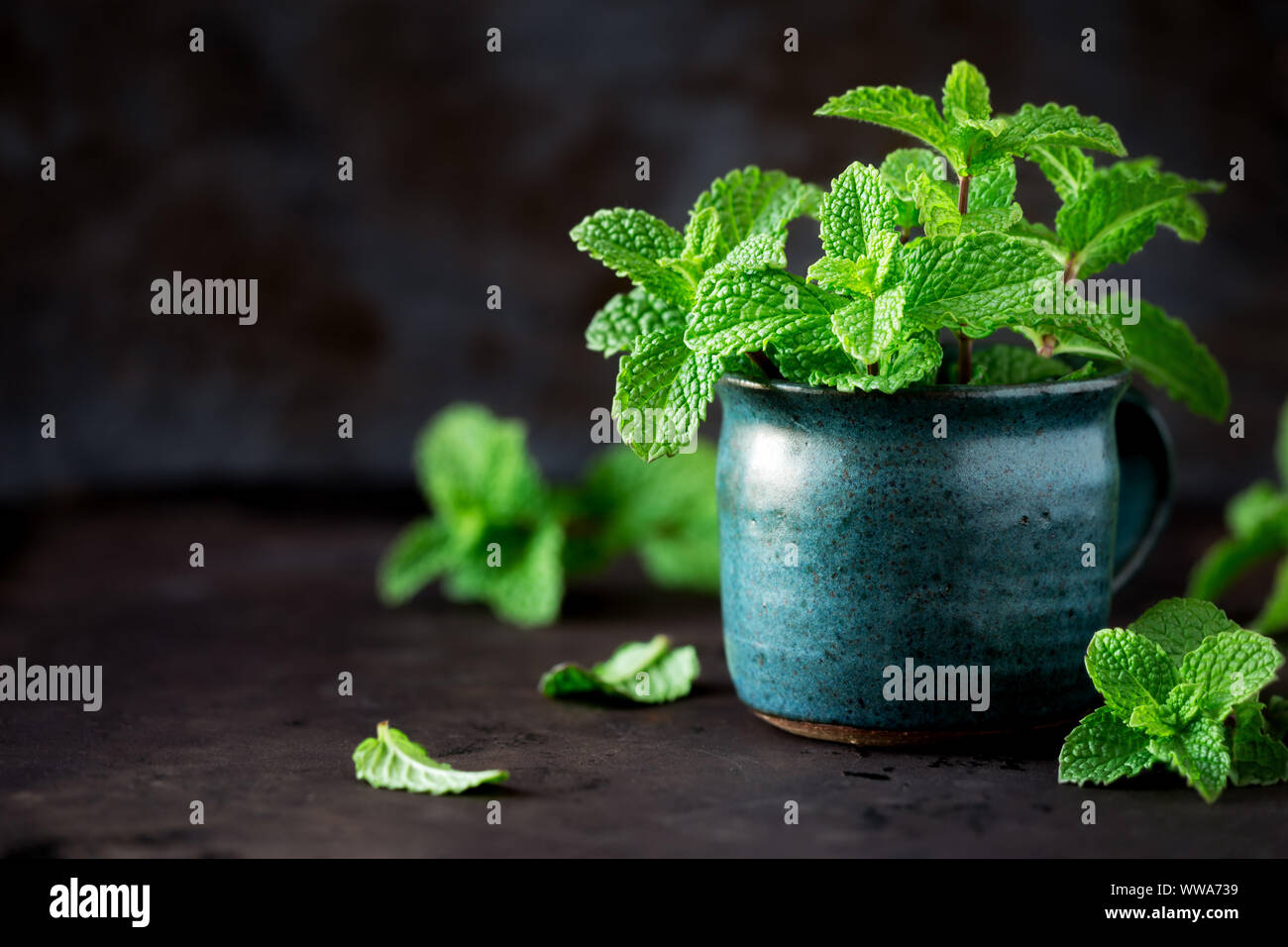 Sprigs of peppermint hi-res stock photography and images - Alamy