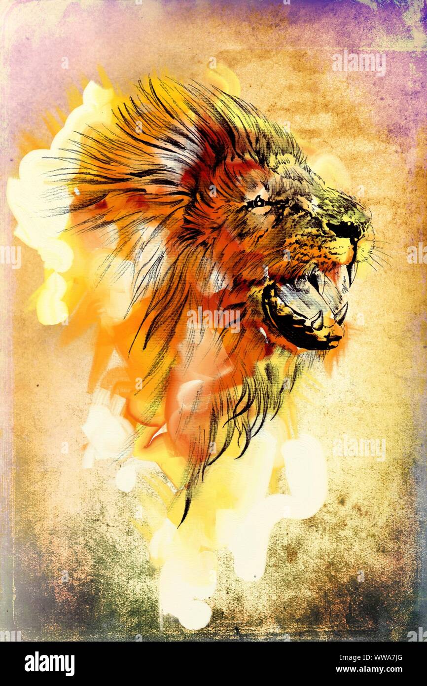 lion art illustration drawing Stock Photo - Alamy