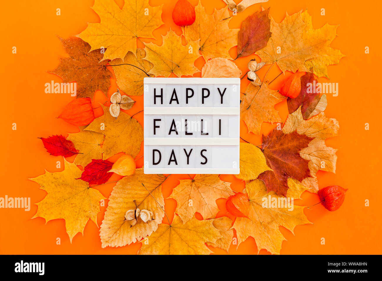 Autumn flat lay composition with dry leaves wreath frame and lightbox ...