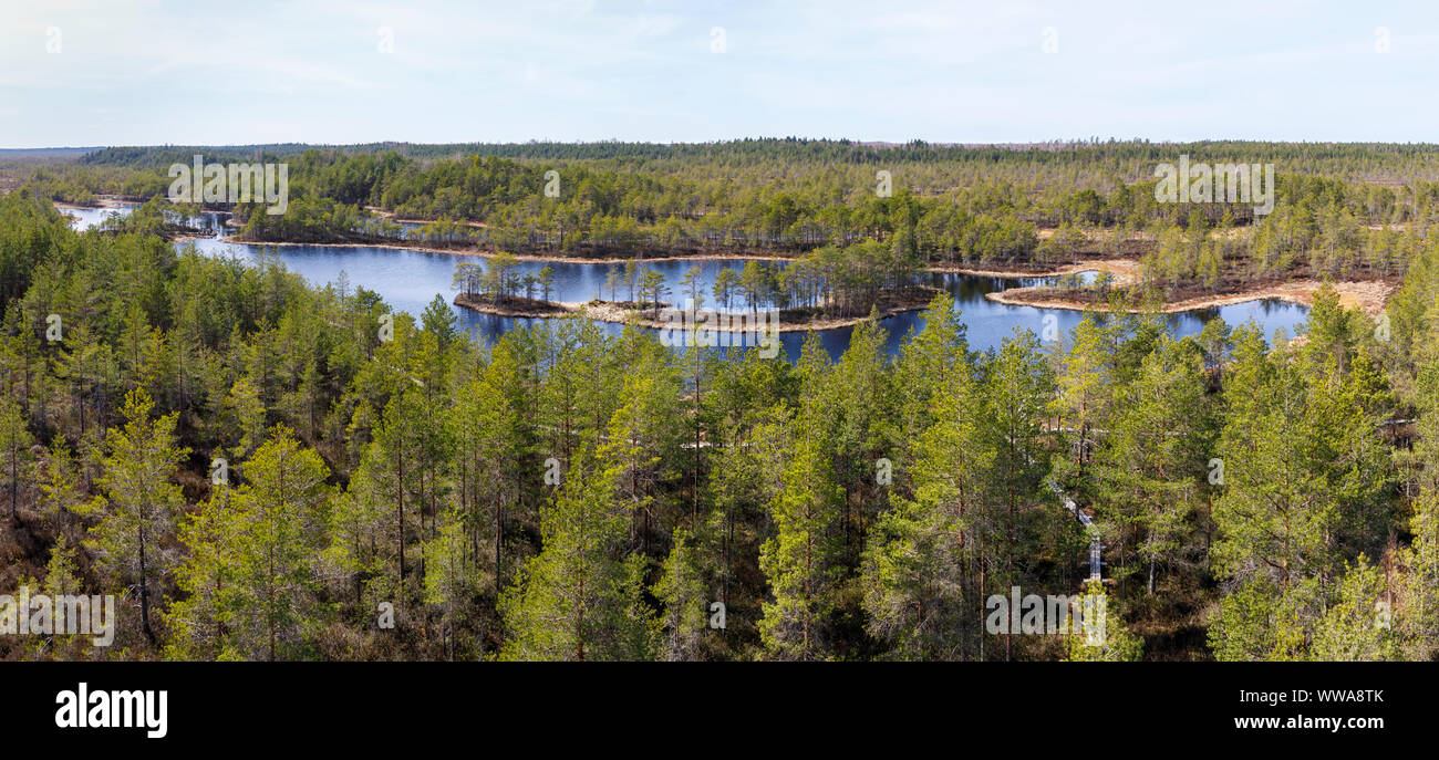 Panorama view of a bog with small lakes at daylight in Rapla county in ...