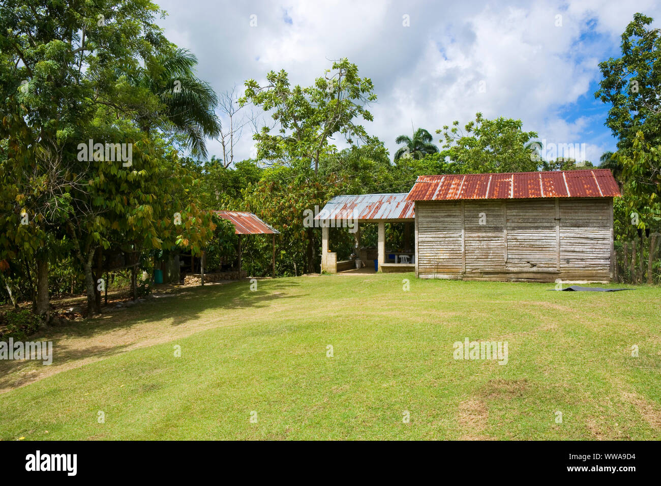 Wooden cottage on tropical plantation, Dominican Republic Stock Photo ...