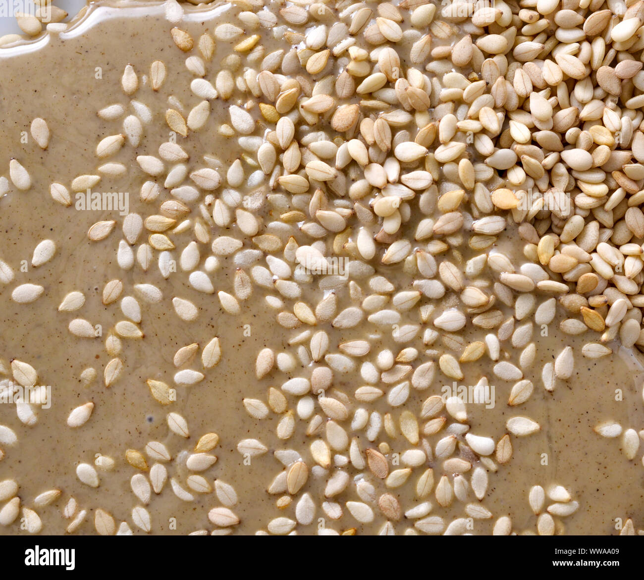 sesame seeds and tahini syrup, image Stock Photo - Alamy