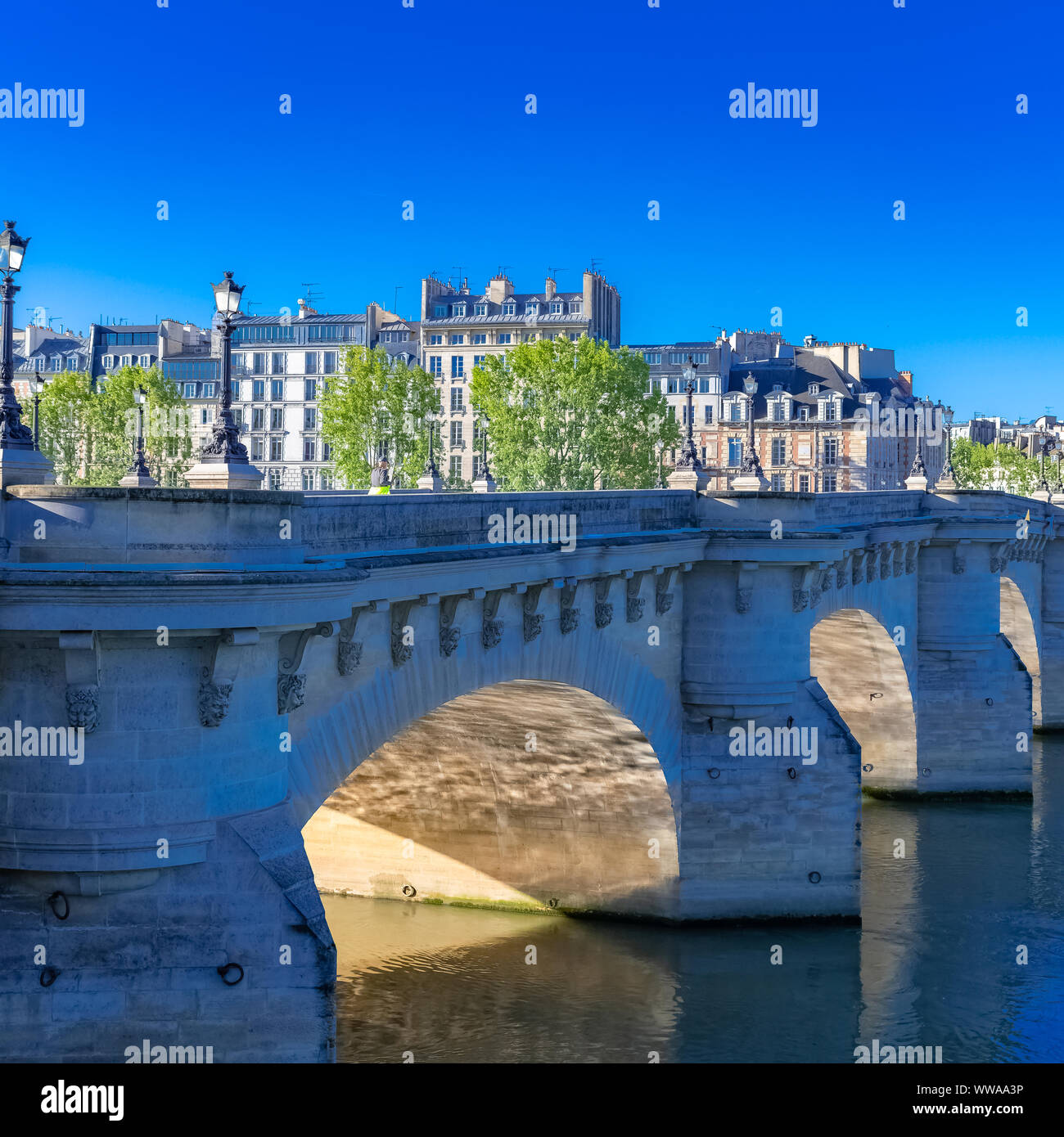 Paris, view of the Pont-Neuf and the ile de la Cité, traditional ...