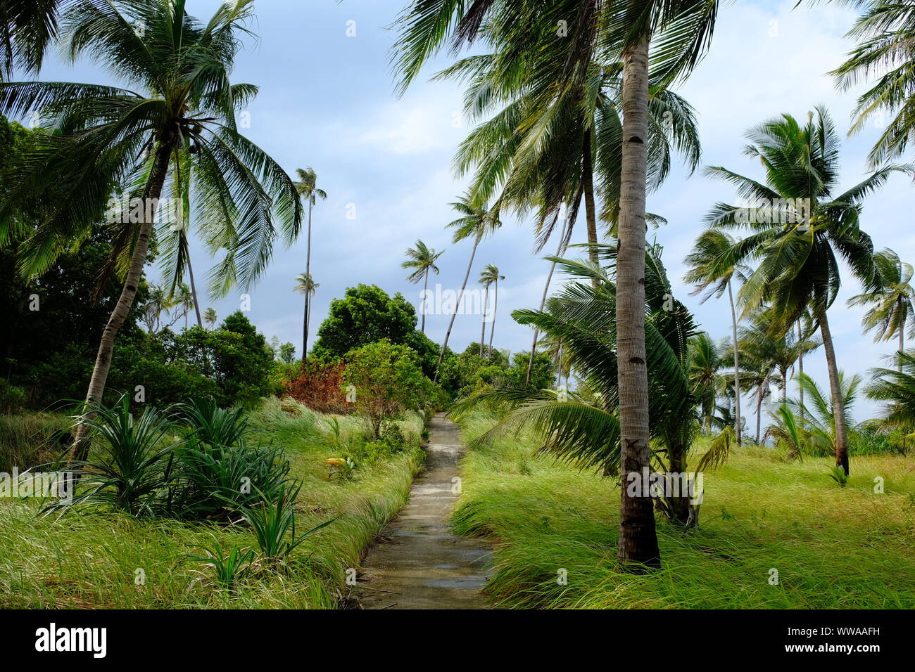 Benan island hi-res stock photography and images - Alamy
