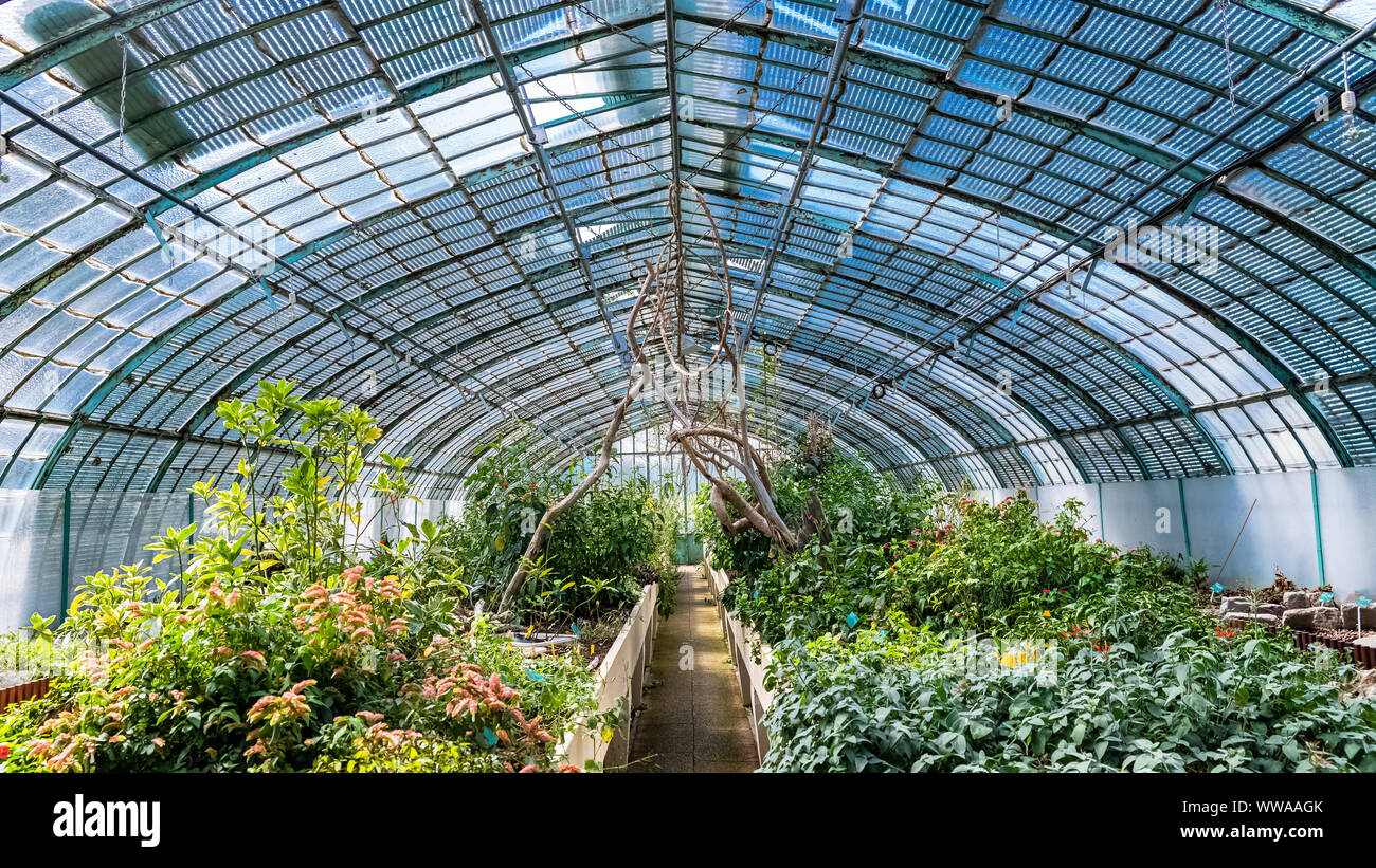 Paris, the Auteuil greenhouses, beautiful public garden in spring Stock ...