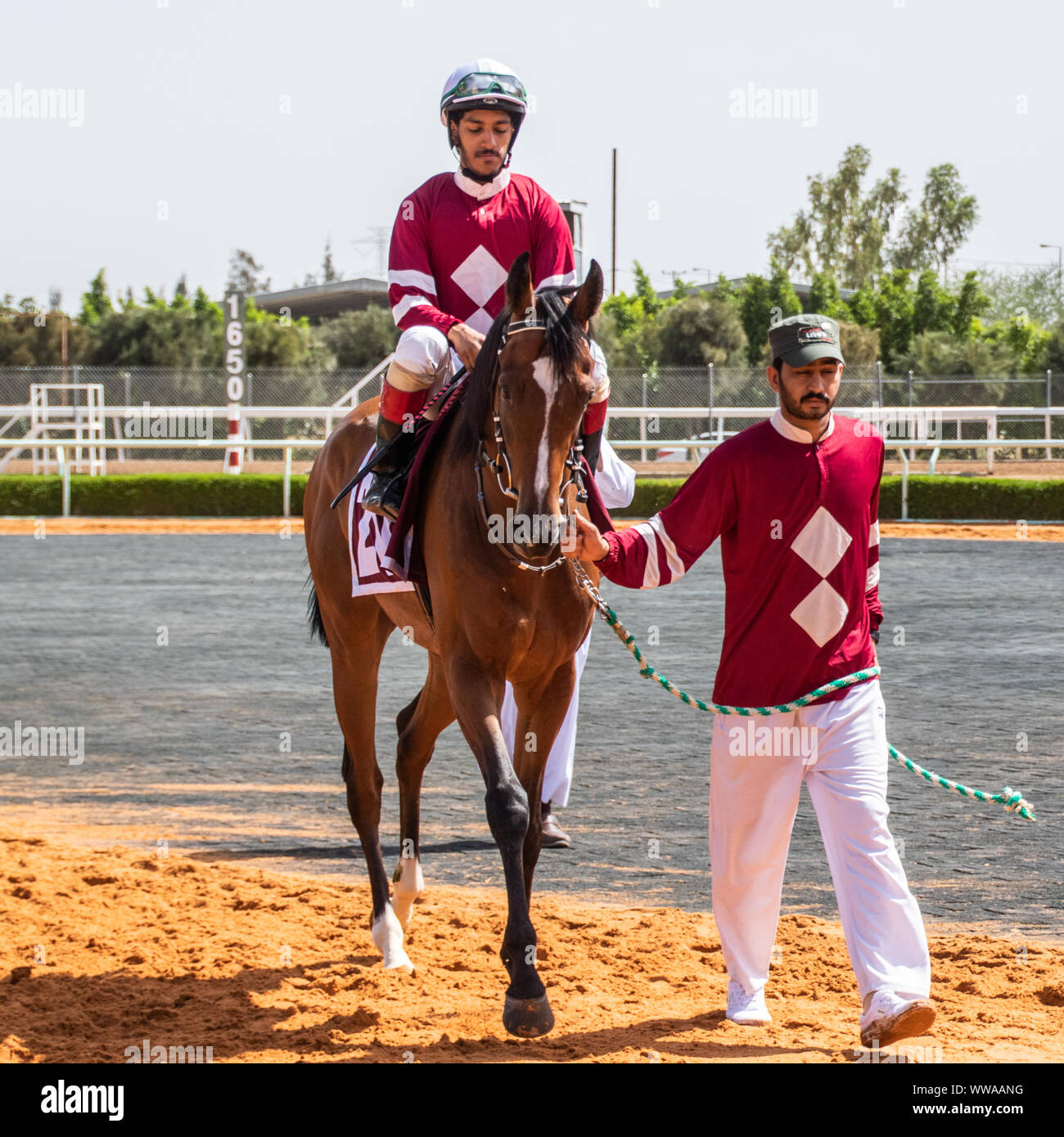 Horse Racig at King Khalid Racetrack, Taif, Saudi Arabia, 21/06/2019 ...
