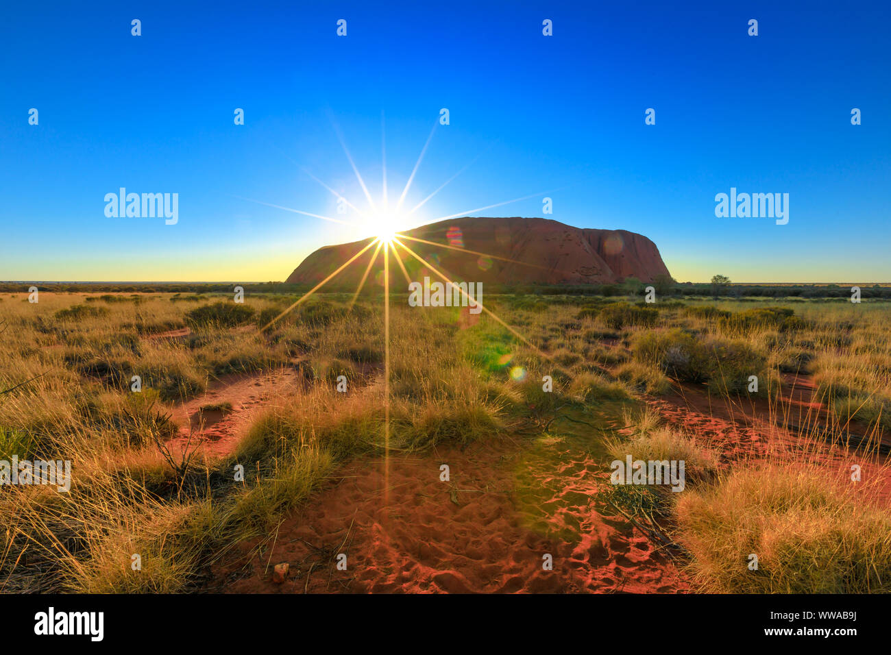 Dramatic sunbeams behind the huge Ayers Rock at down monolith. Colors ...