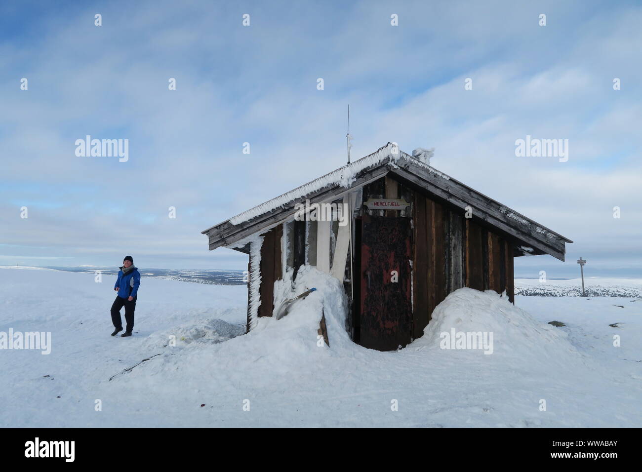 Norway, snow, winter, fir trees Stock Photo - Alamy