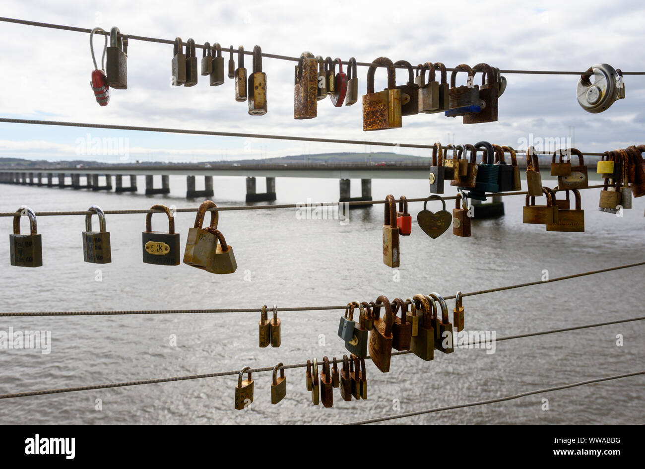 Padlocks placed by tourist at the viewing point at Tay Road Bridge ...