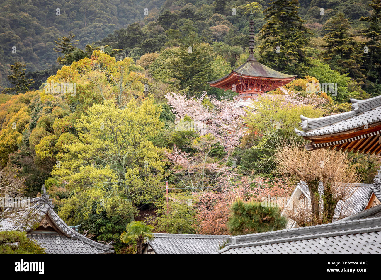 Tahoto Pagoda, Miyajima island, Hroshima, Japan Stock Photo - Alamy