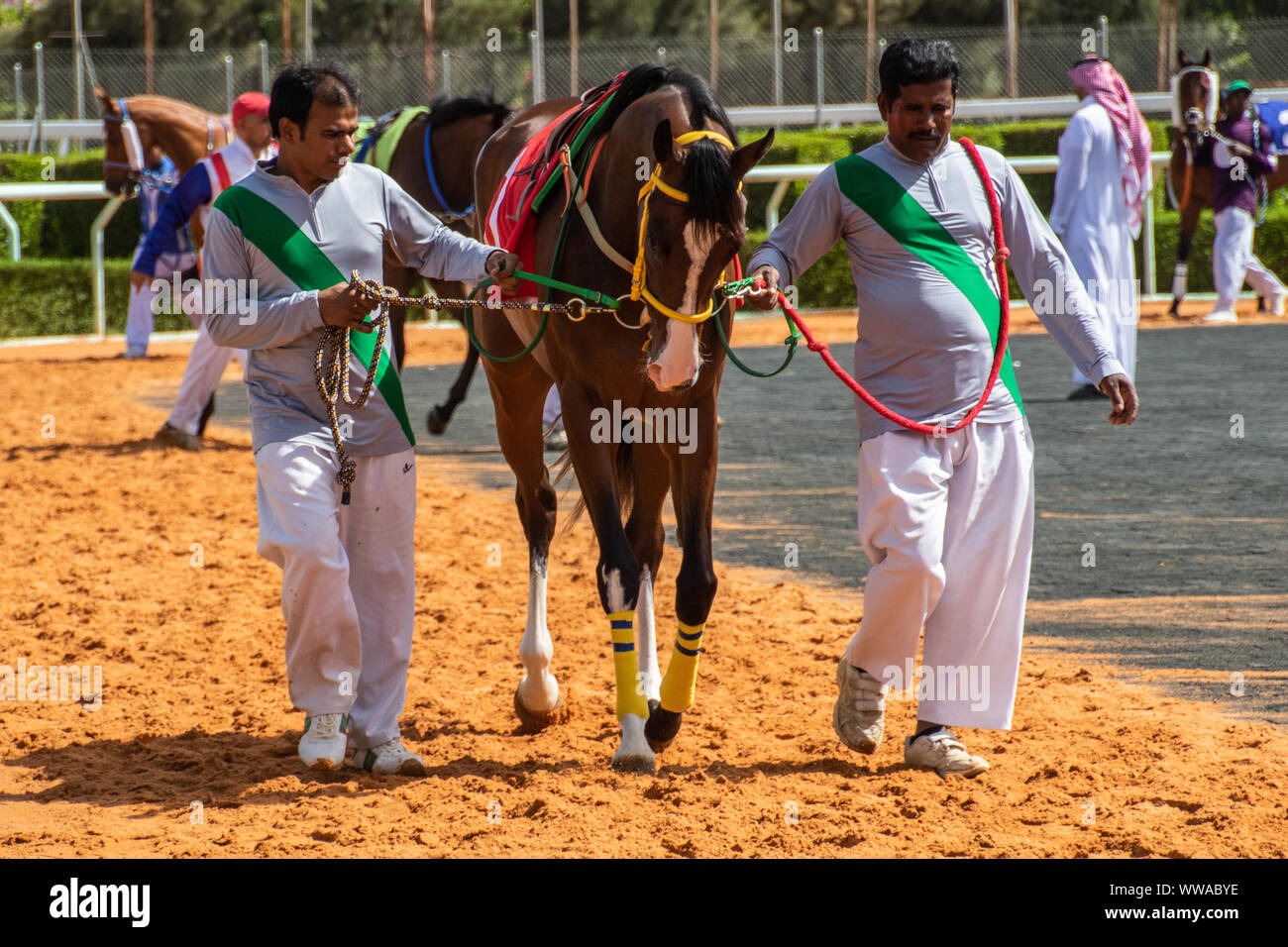 Horse Racig at King Khalid Racetrack, Taif, Saudi Arabia, 21/06/2019 ...