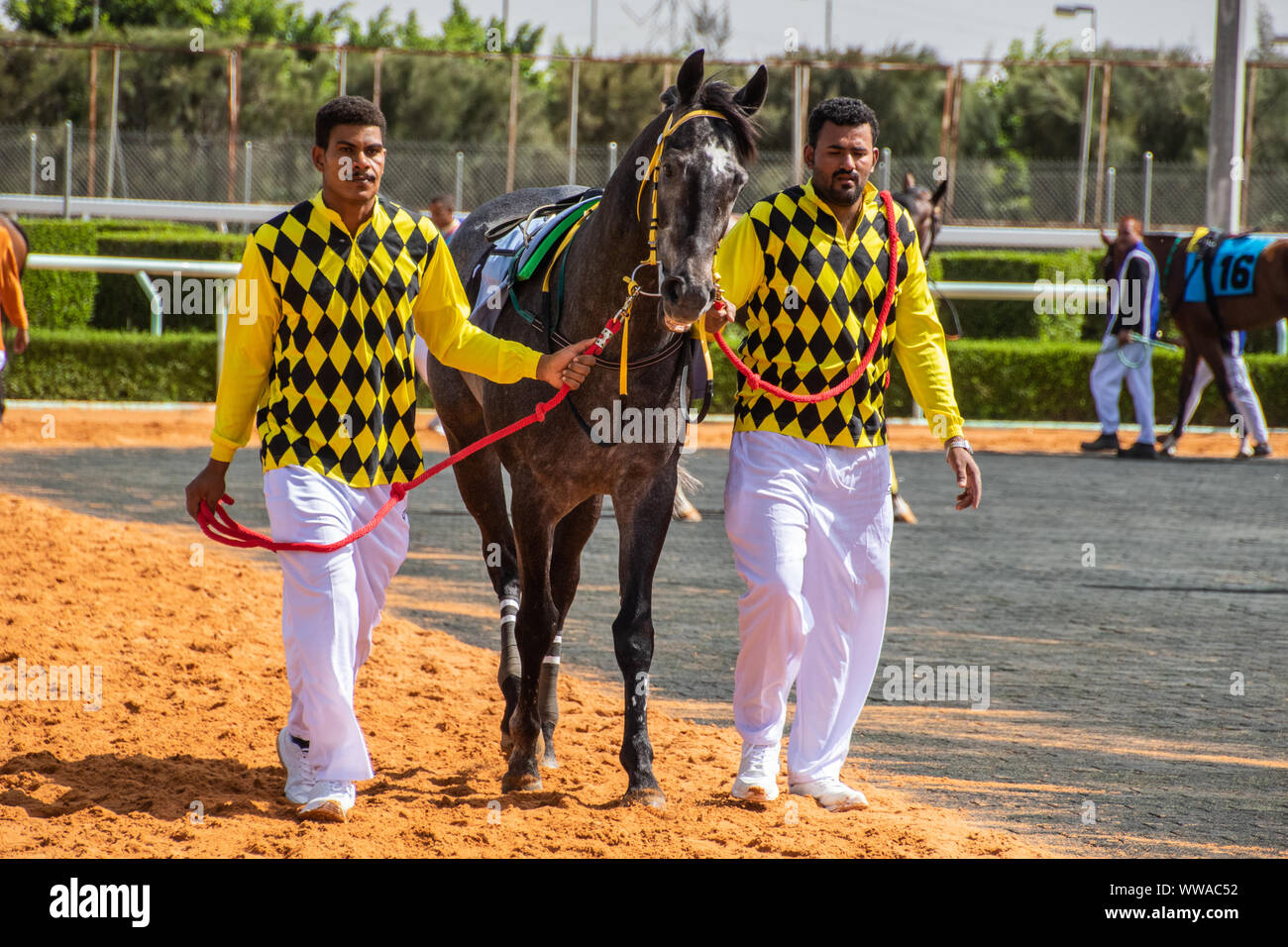Horse Racig at King Khalid Racetrack, Taif, Saudi Arabia, 21/06/2019 ...