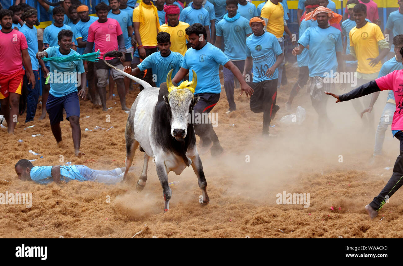 Festivals of tamilnadu hi-res stock photography and images - Alamy