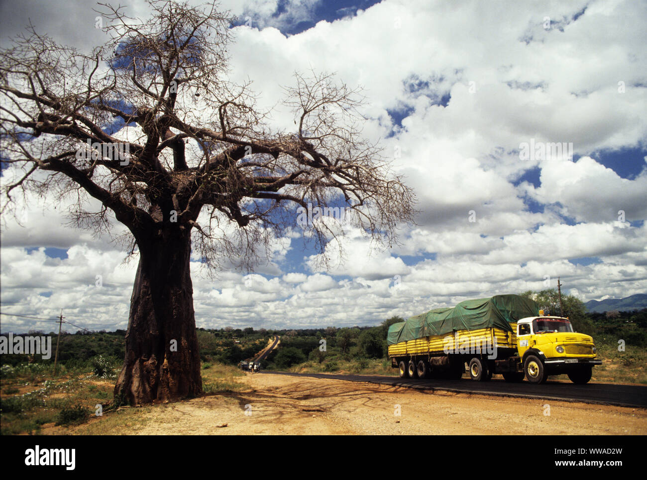 Baobah tree on the Nairobi-Mombasa road, Kenya Stock Photo - Alamy