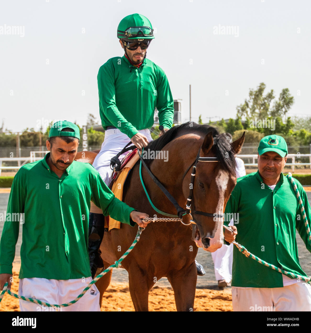 Horse Racig at King Khalid Racetrack, Taif, Saudi Arabia, 21/06/2019 ...