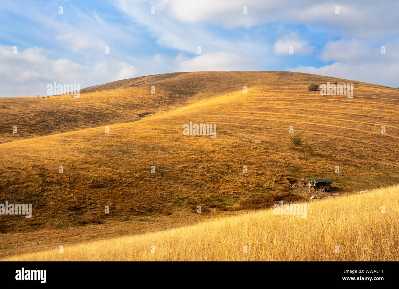 View of empty stable hi-res stock photography and images - Alamy