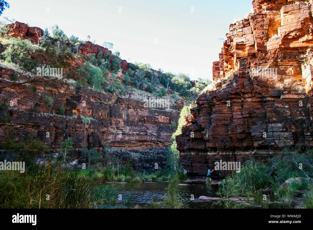 Hiking and swimming in Karijini National-Park, Western Australia with ...