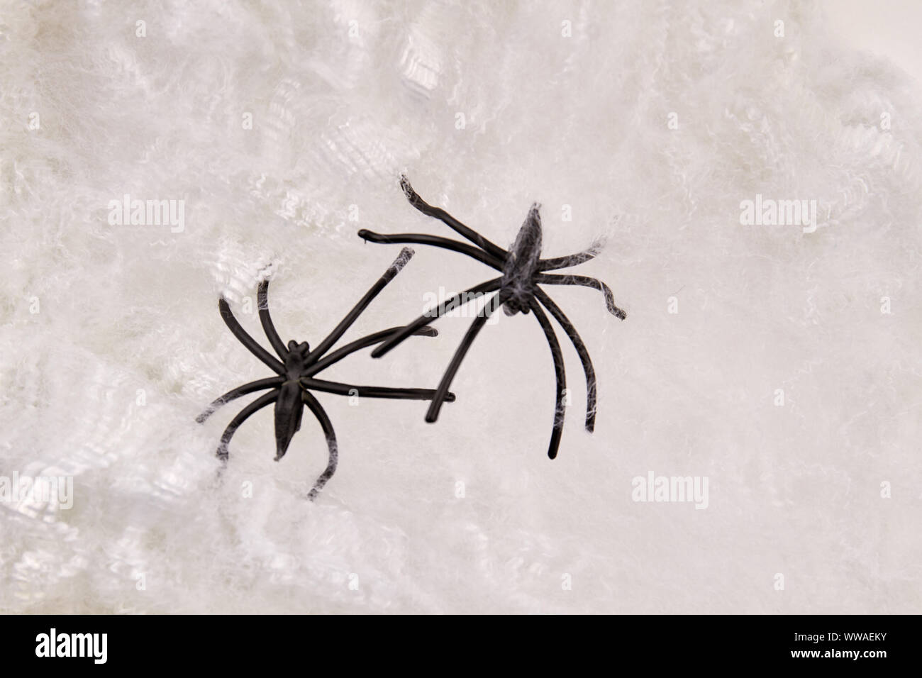 Halloween background with black decorative spiders Stock Photo - Alamy