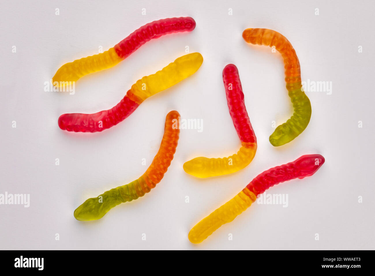 Giant Gummy Snake Smosh