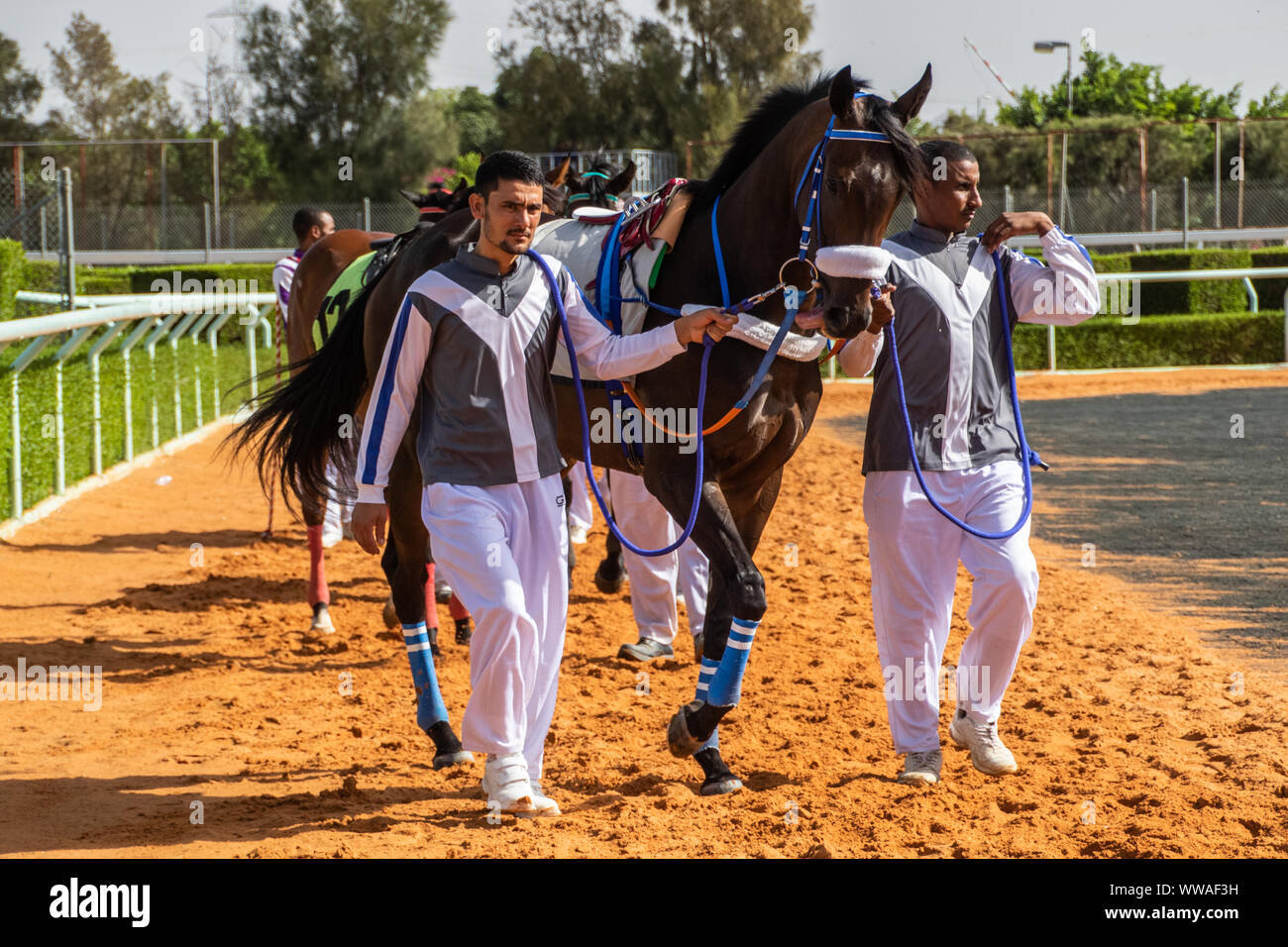 Horse Racig at King Khalid Racetrack, Taif, Saudi Arabia, 21/06/2019 ...