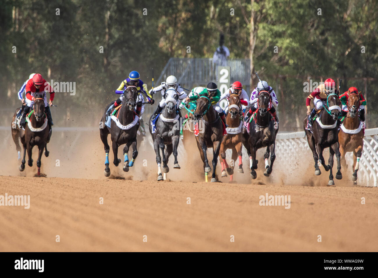 Horse Racig at King Khalid Racetrack, Taif, Saudi Arabia, 21/06/2019 ...