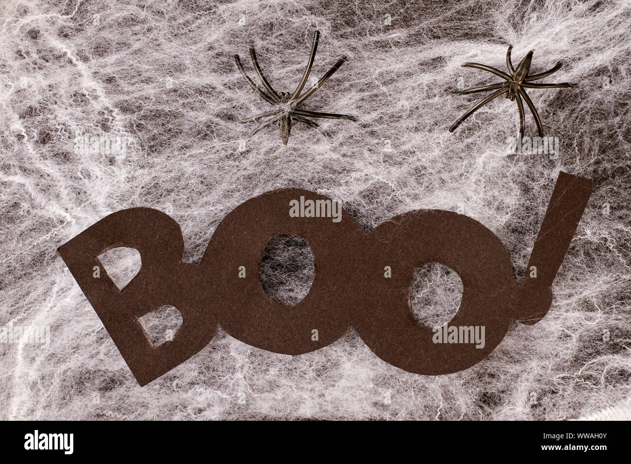 Word BOO on decorative spider web Stock Photo - Alamy