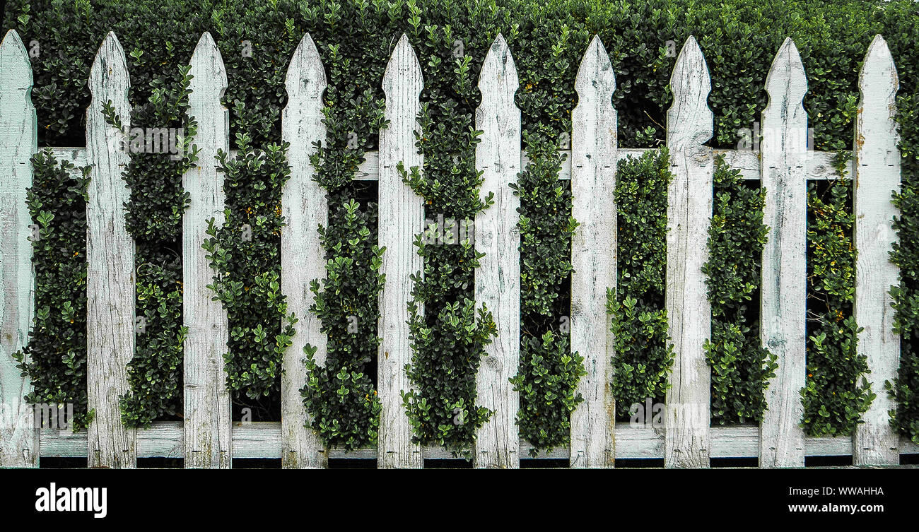 White pocket fence hi-res stock photography and images - Alamy
