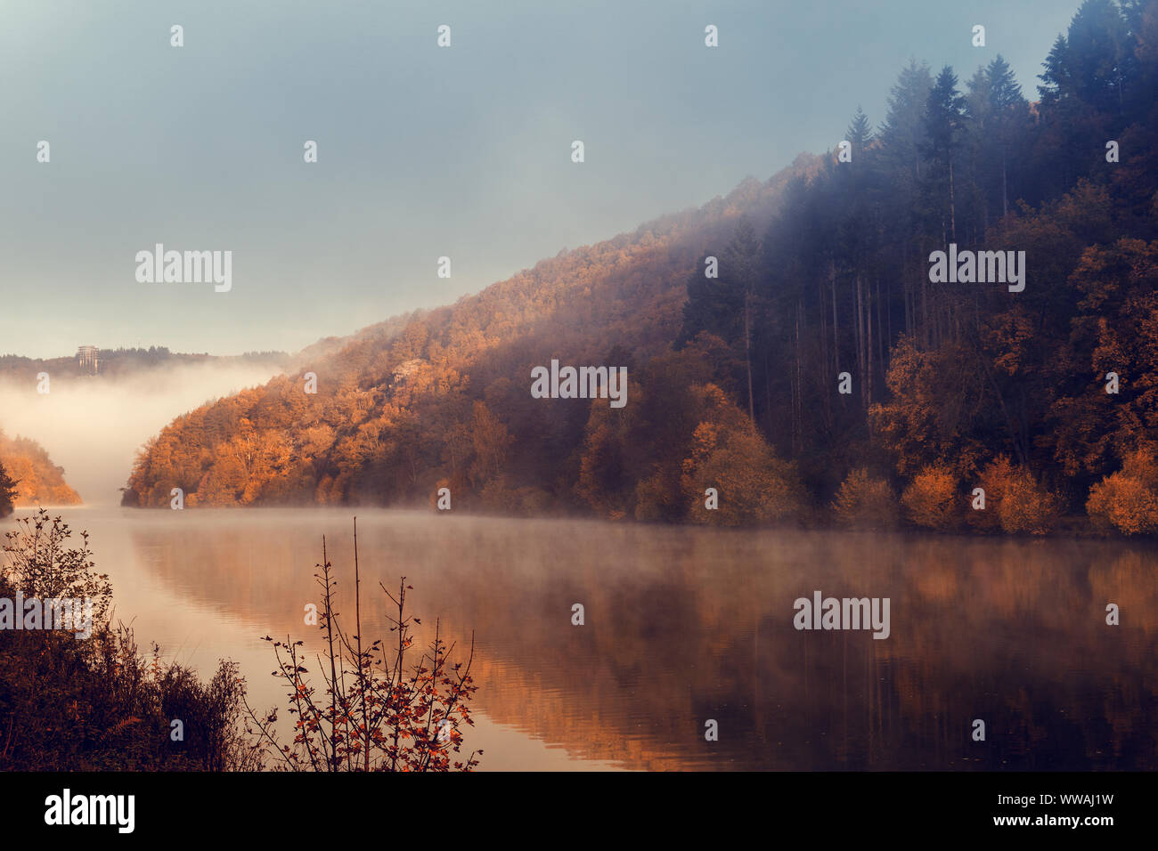 Saar Loop in the morning fog, Indian Summer Stock Photo - Alamy