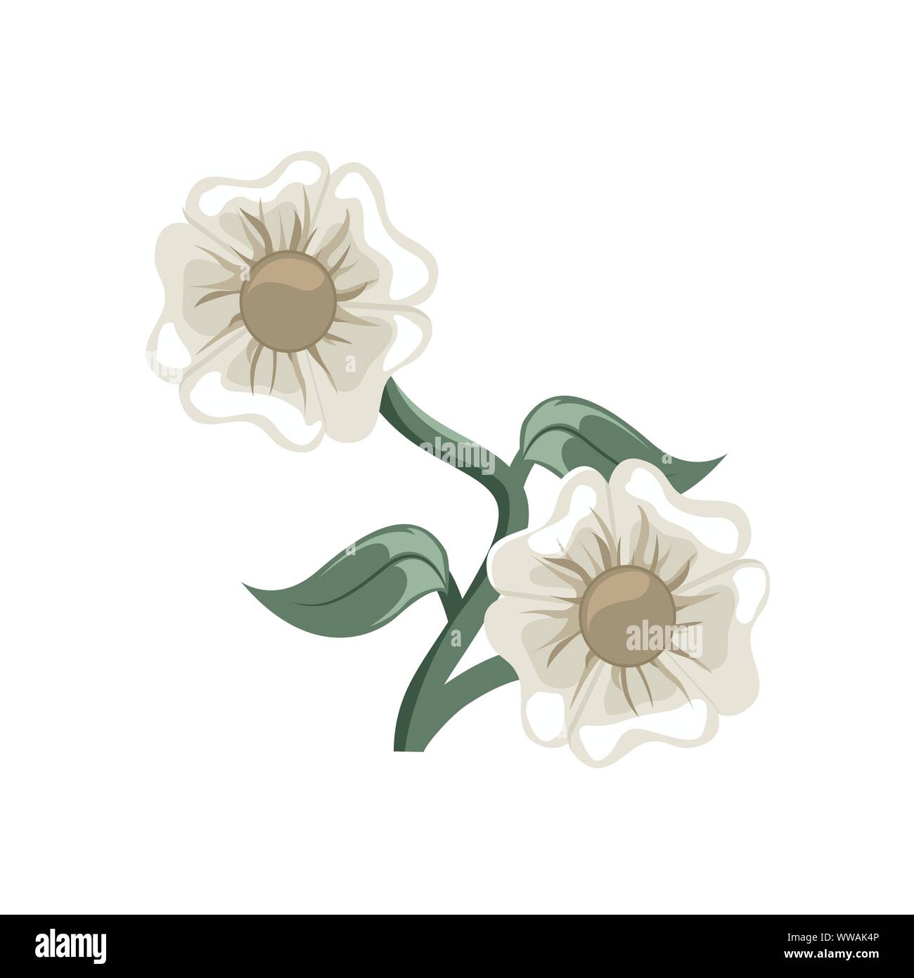 Beautiful white flowers Floral arrangement vector Stock Vector Image ...